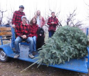 CHRISTMAS TREE FARMS - SPOKANE, WASHINGTON