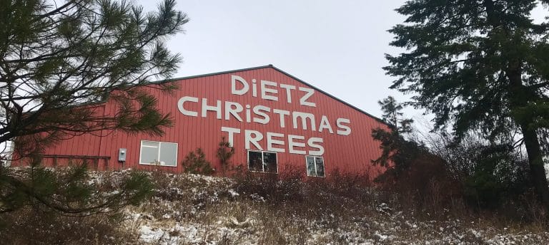 CHRISTMAS TREE FARMS - SPOKANE, WASHINGTON